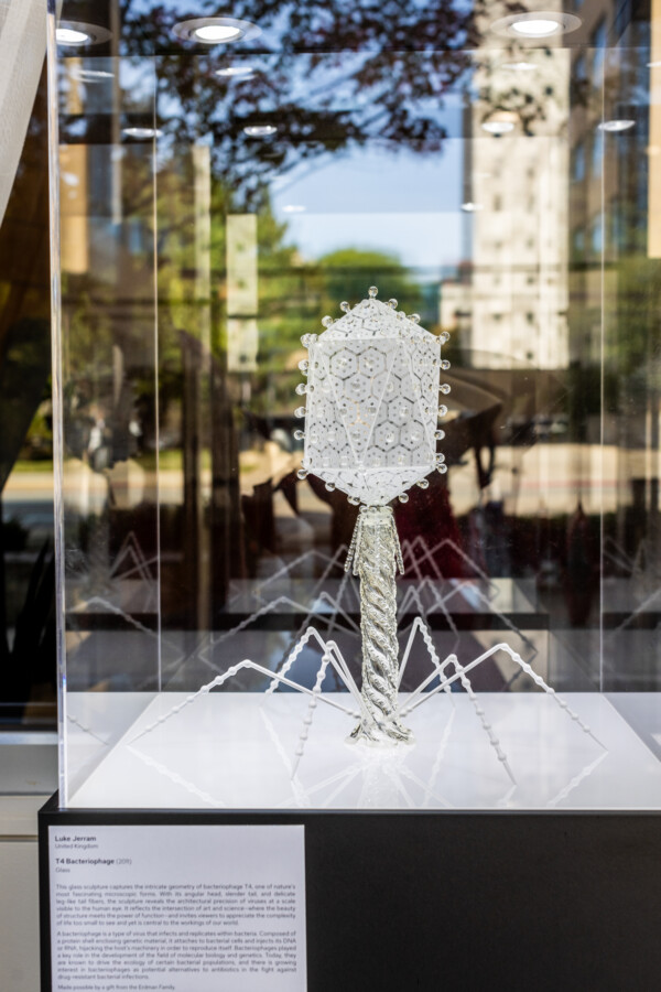 John D Wiley Gallery for Art in Science – Illuminating Discovery Hub